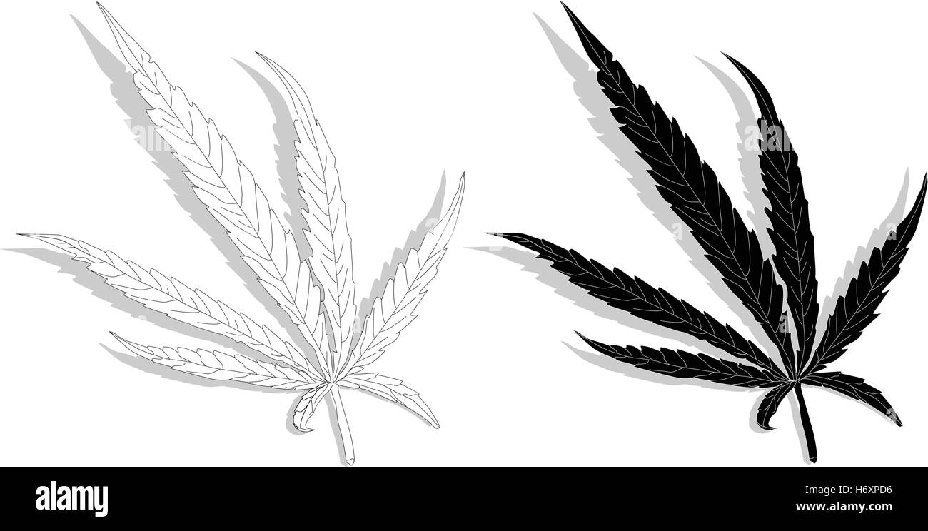 Weed Leaf Vector Black