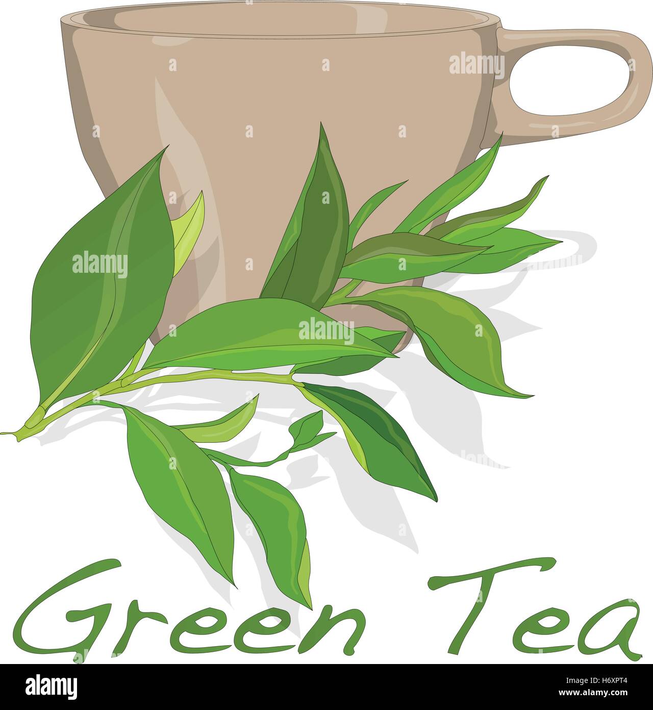 China cup floral white background Stock Vector Images - Alamy