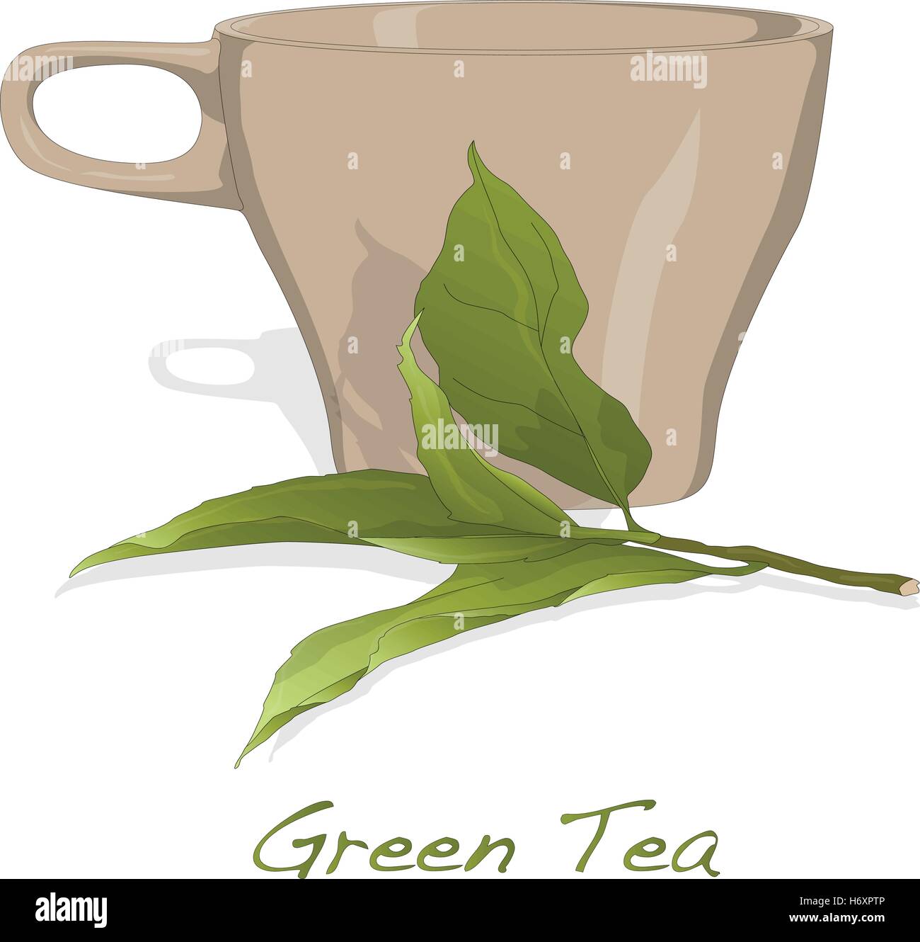 cup of fresh green tea vector isolated on white background Stock Vector ...