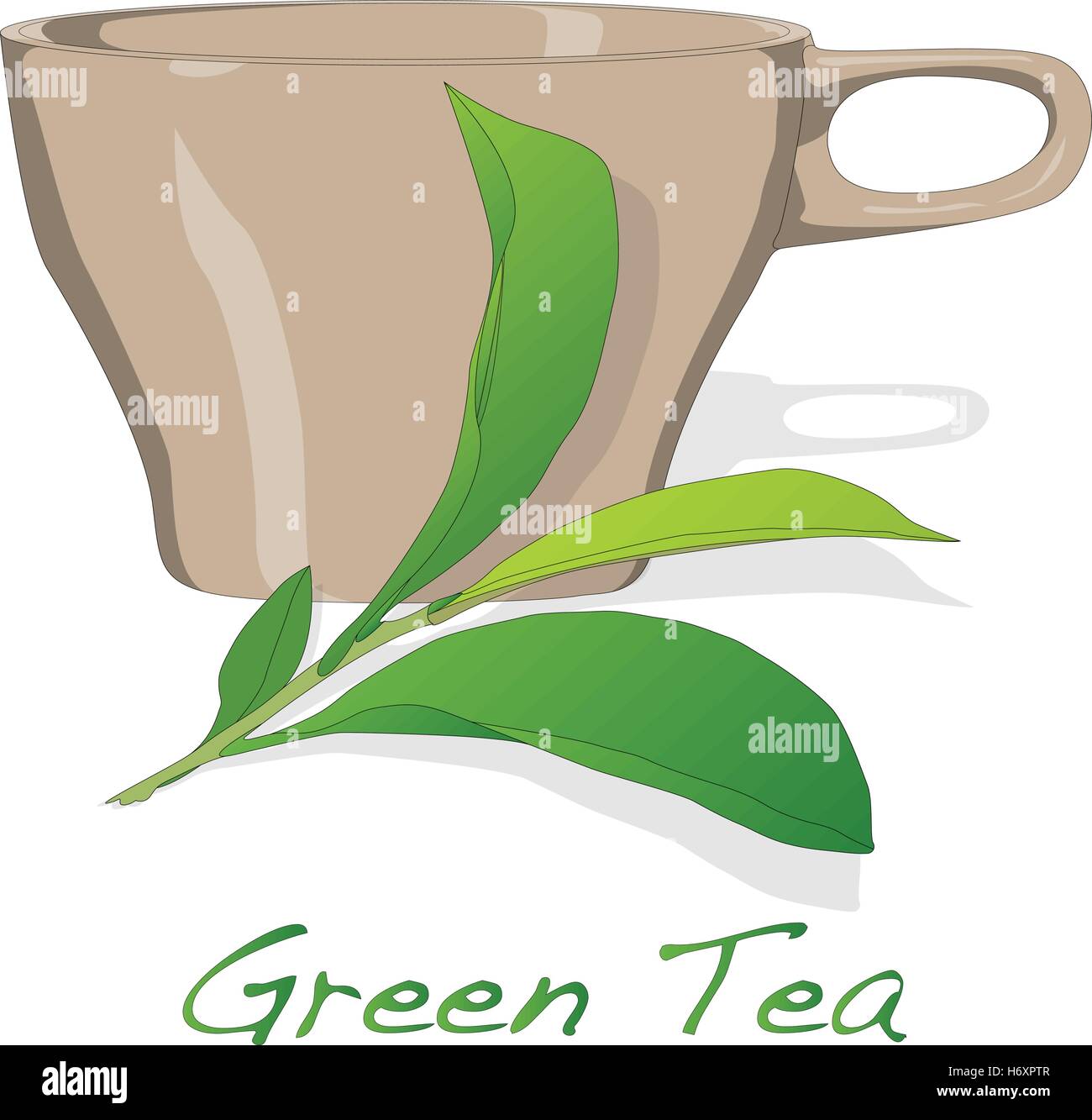 cup of fresh green tea vector isolated on white background Stock Vector ...