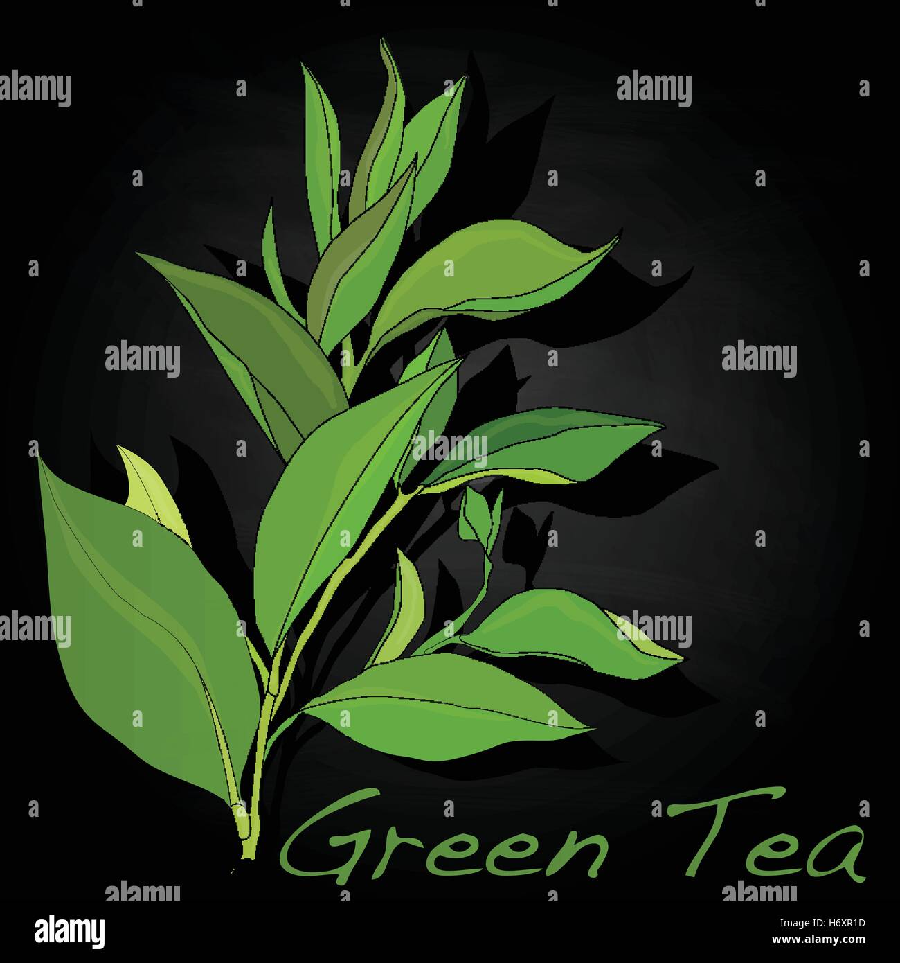 Indian tea plantation Stock Vector Images - Alamy