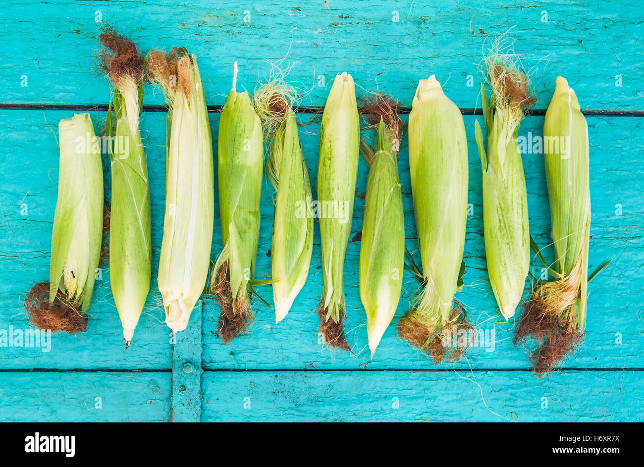 corn on the cob on a blue wooden background Stock Photo - Alamy