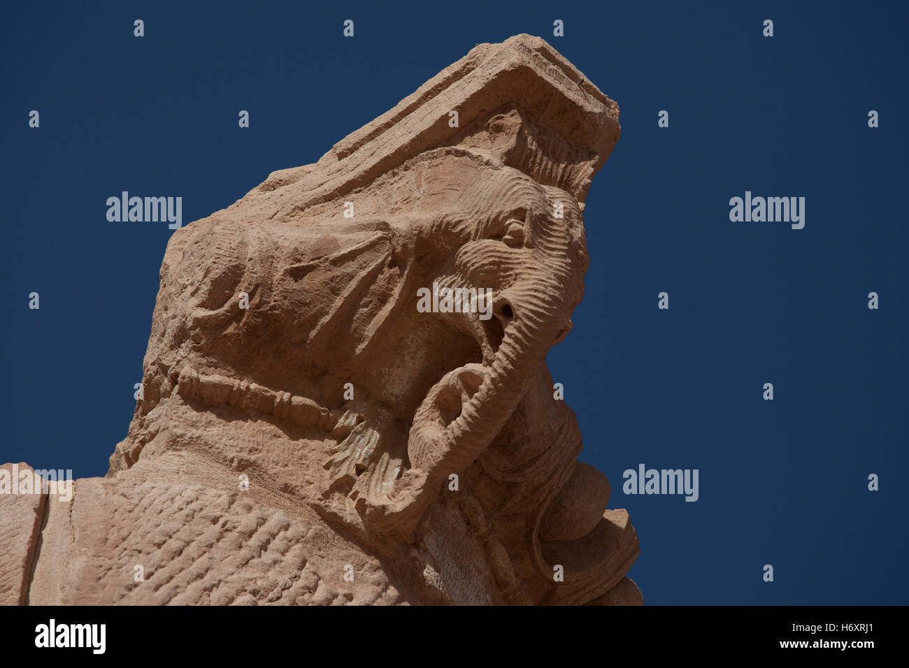 An image of an elephant carved in a column at the Lower Temenos of the ...