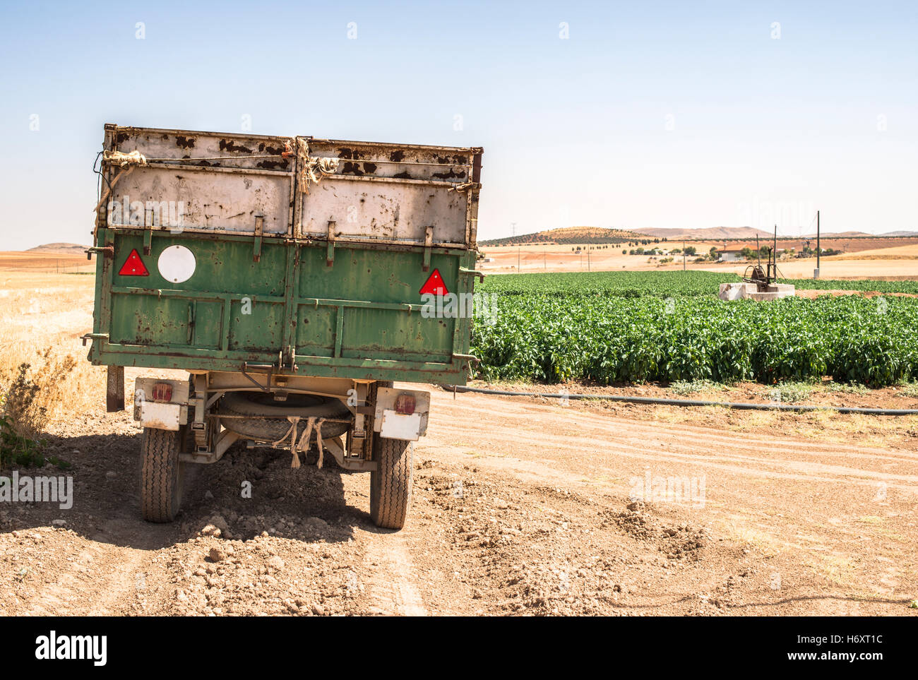 Trailer of a tractor in the field and agricultural plantations Stock ...