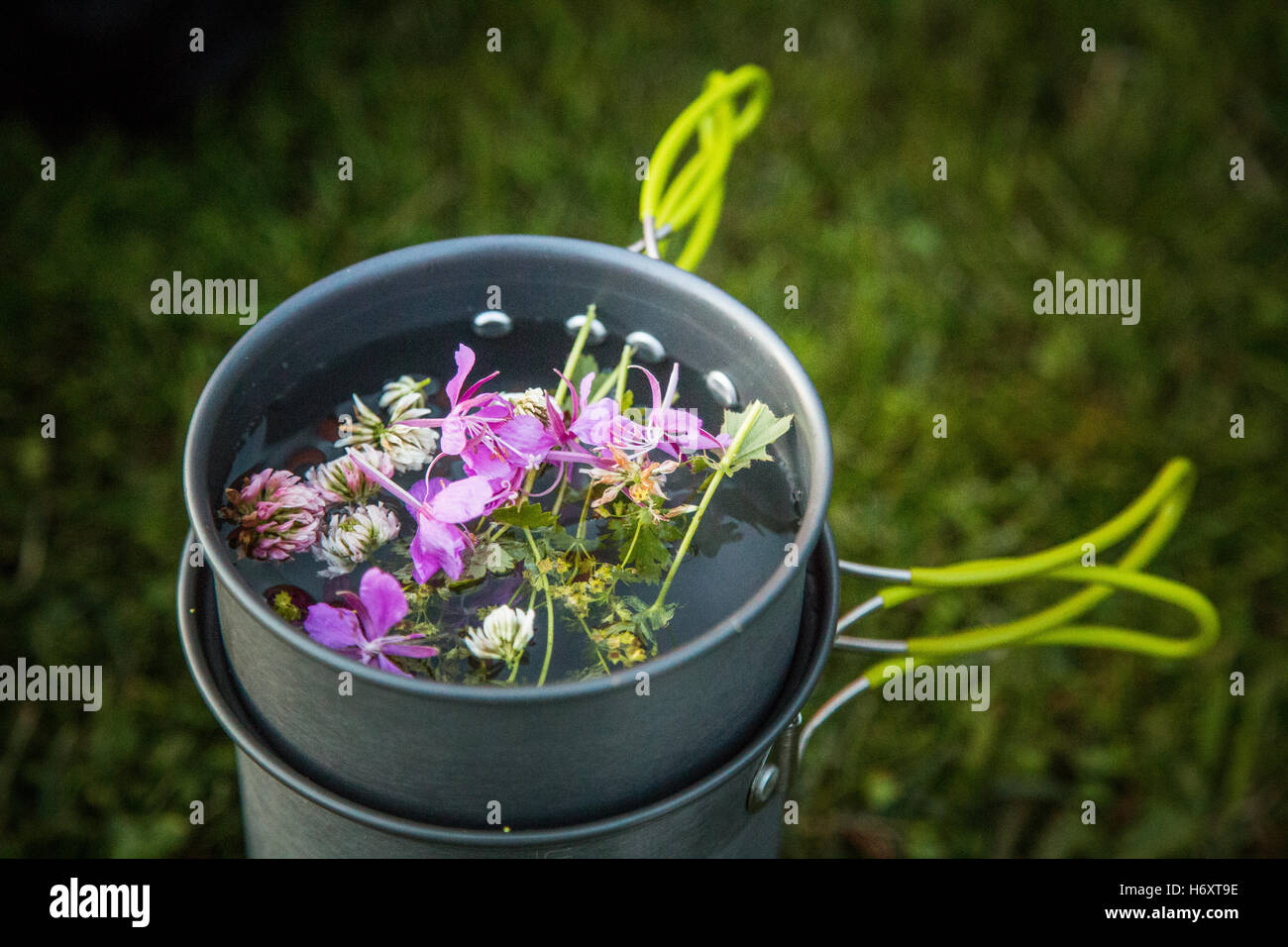 Tea pot fire hi-res stock photography and images - Alamy