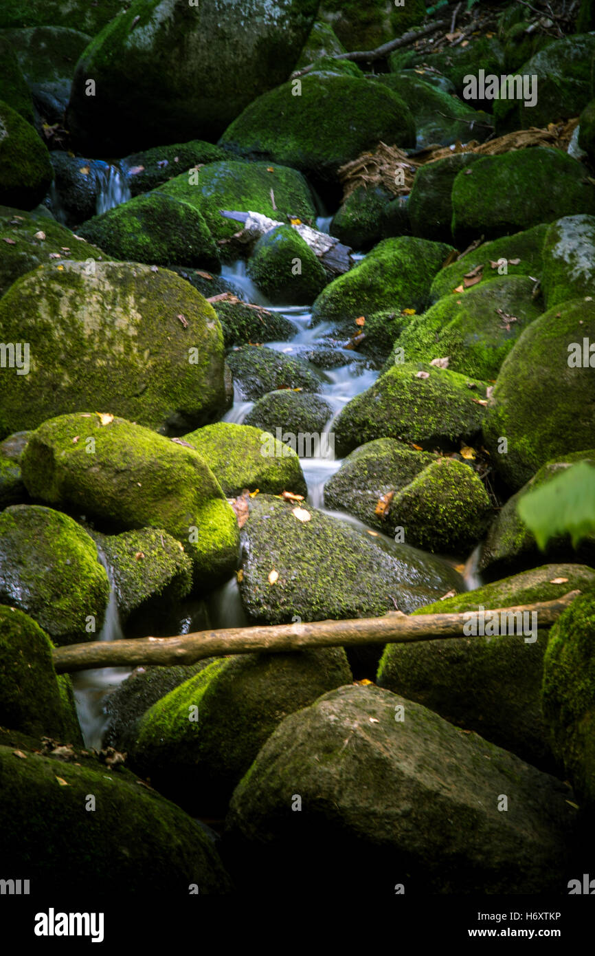 Stream with beautiful rocks hi-res stock photography and images - Alamy