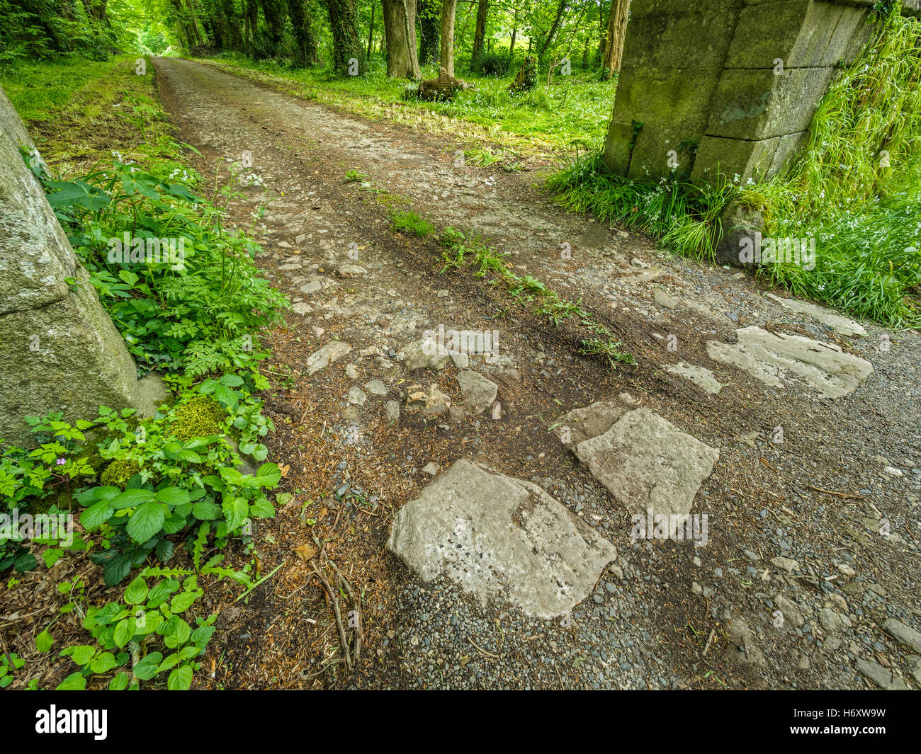 Brittany countryside, France Stock Photo - Alamy