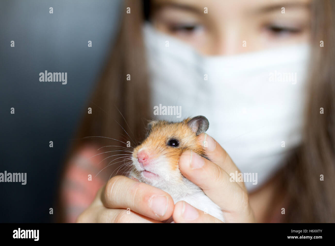 Girl with medical mask and hamster closeup allergy concept Stock Photo ...