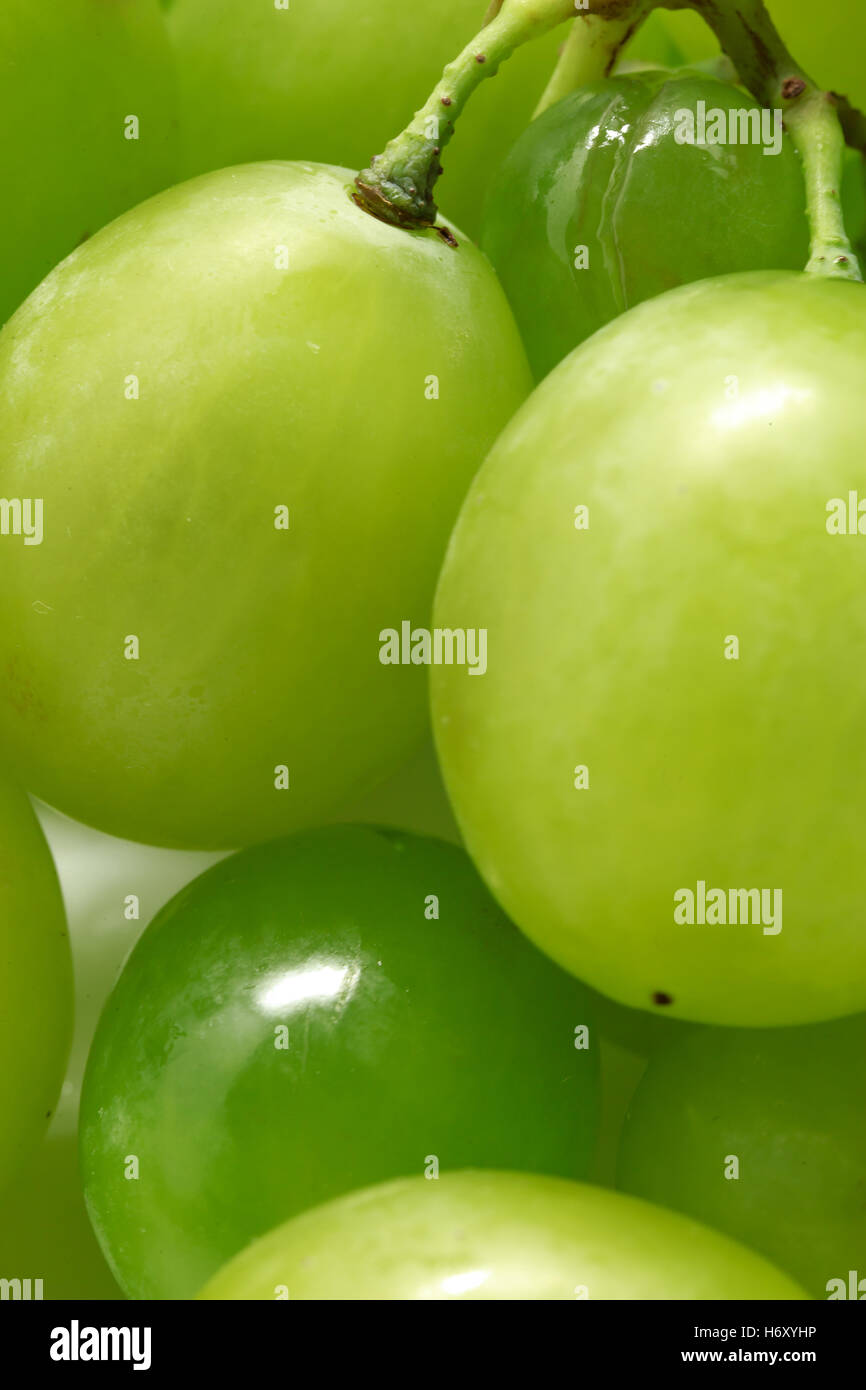 Moscato grapes hi-res stock photography and images - Alamy