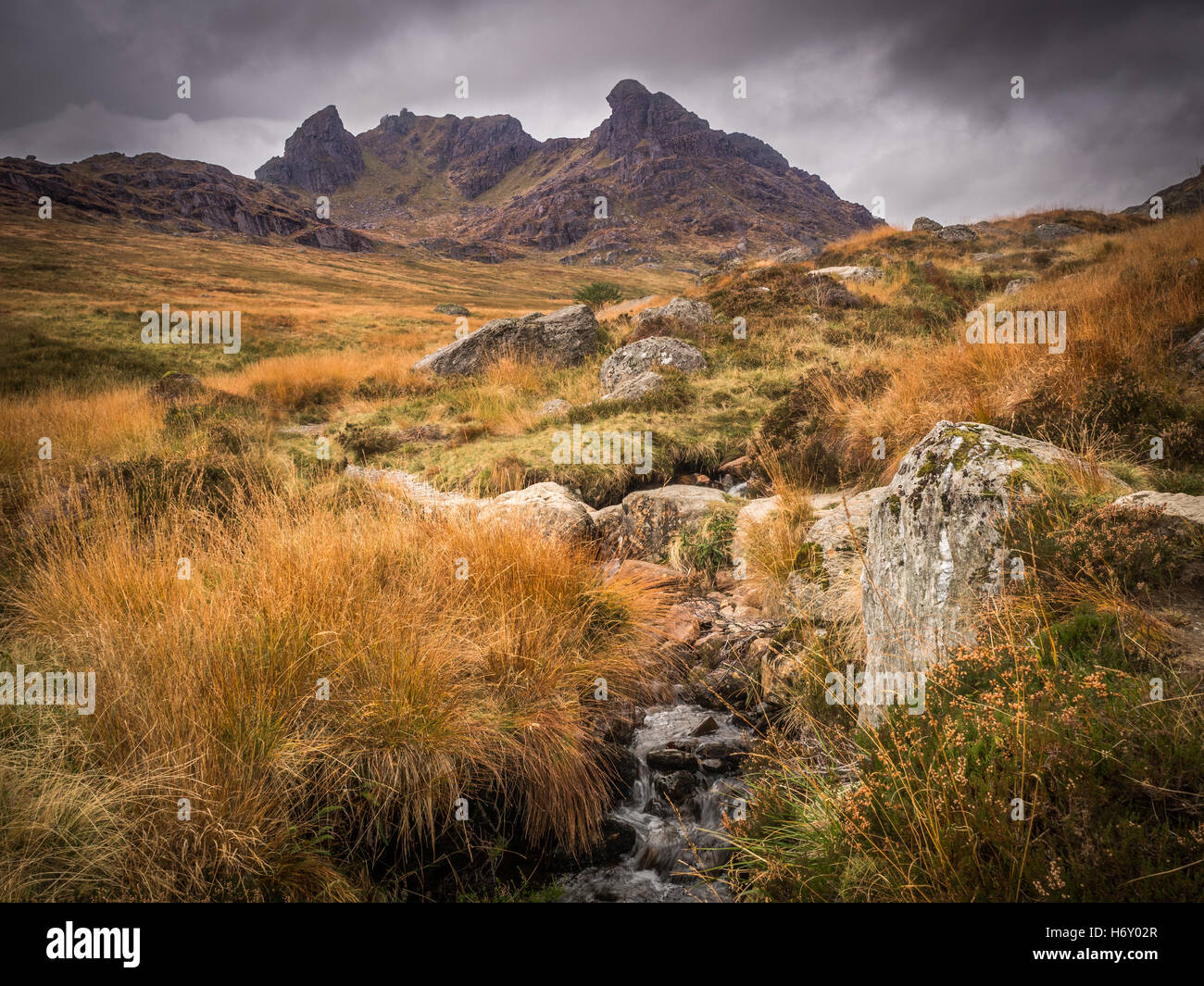 The Cobler or Ben Arthur Stock Photo - Alamy