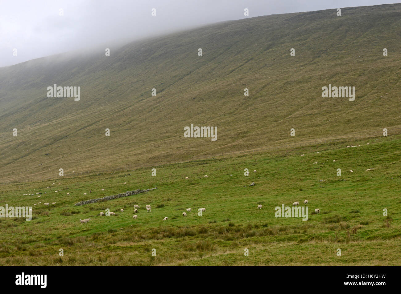Weisdale shetland hi-res stock photography and images - Alamy