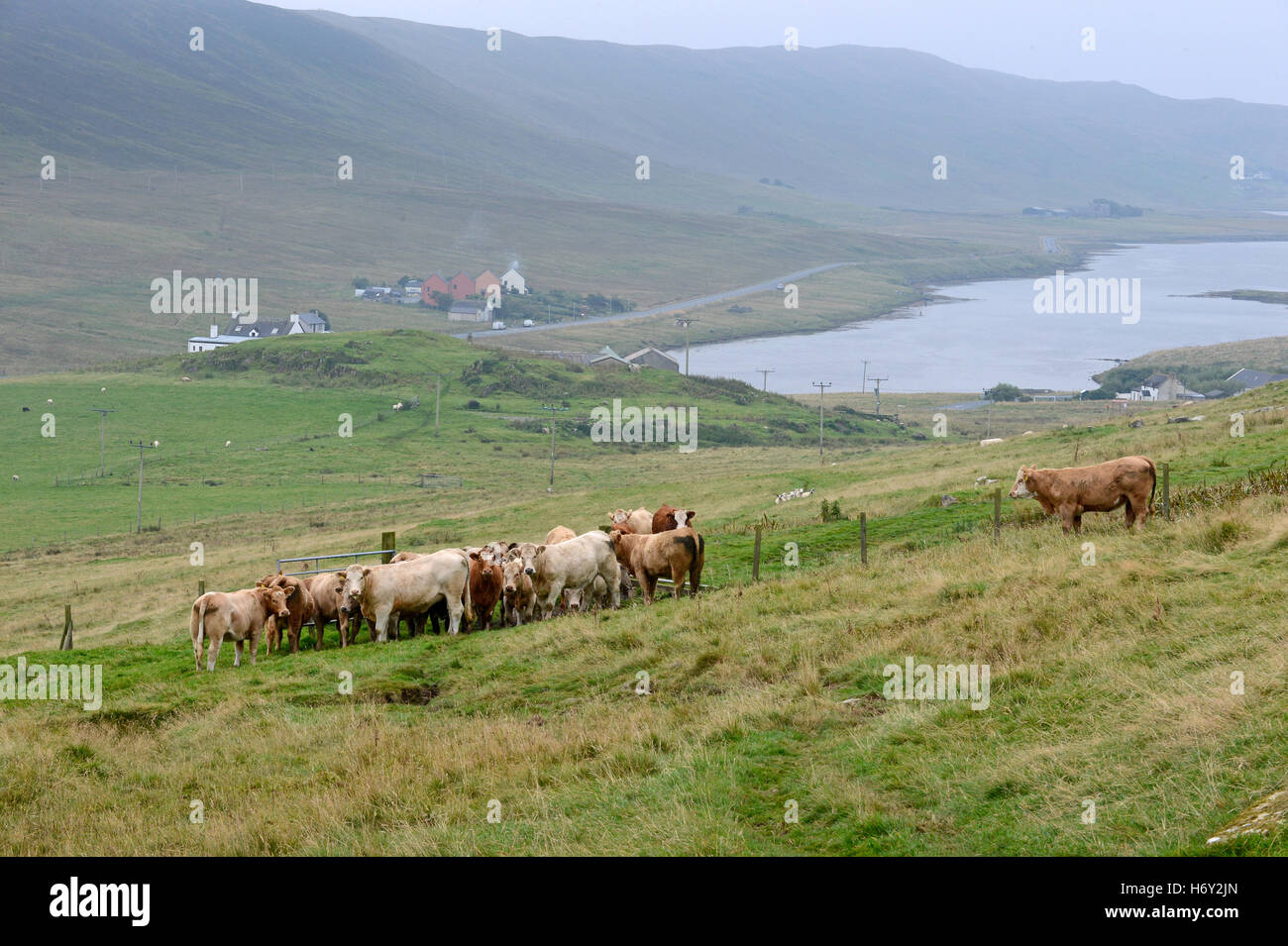 Weisdale hi-res stock photography and images - Alamy
