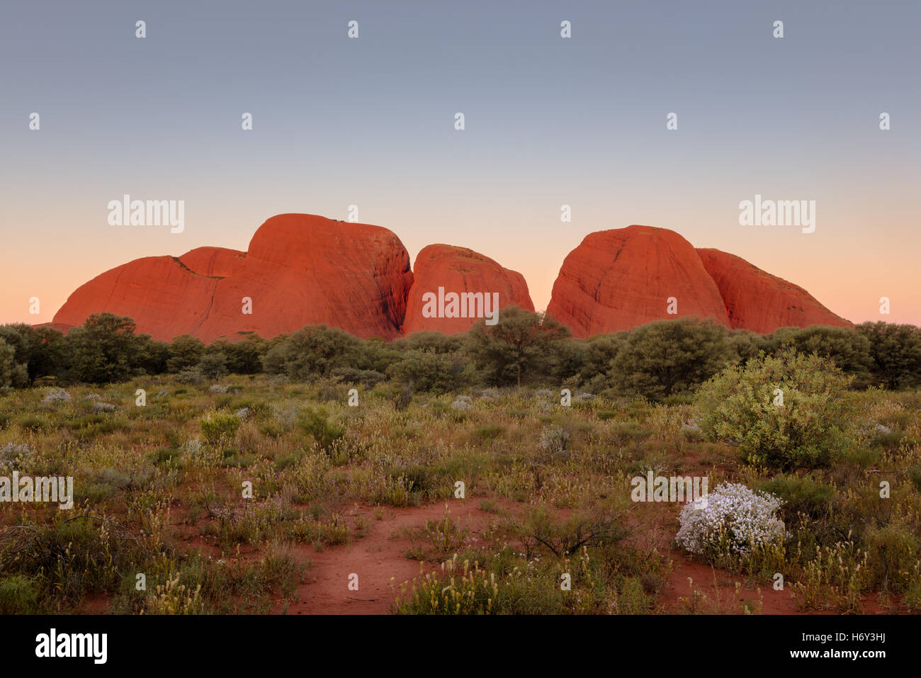 Domes of Kata Tjuta at sunset Stock Photo - Alamy