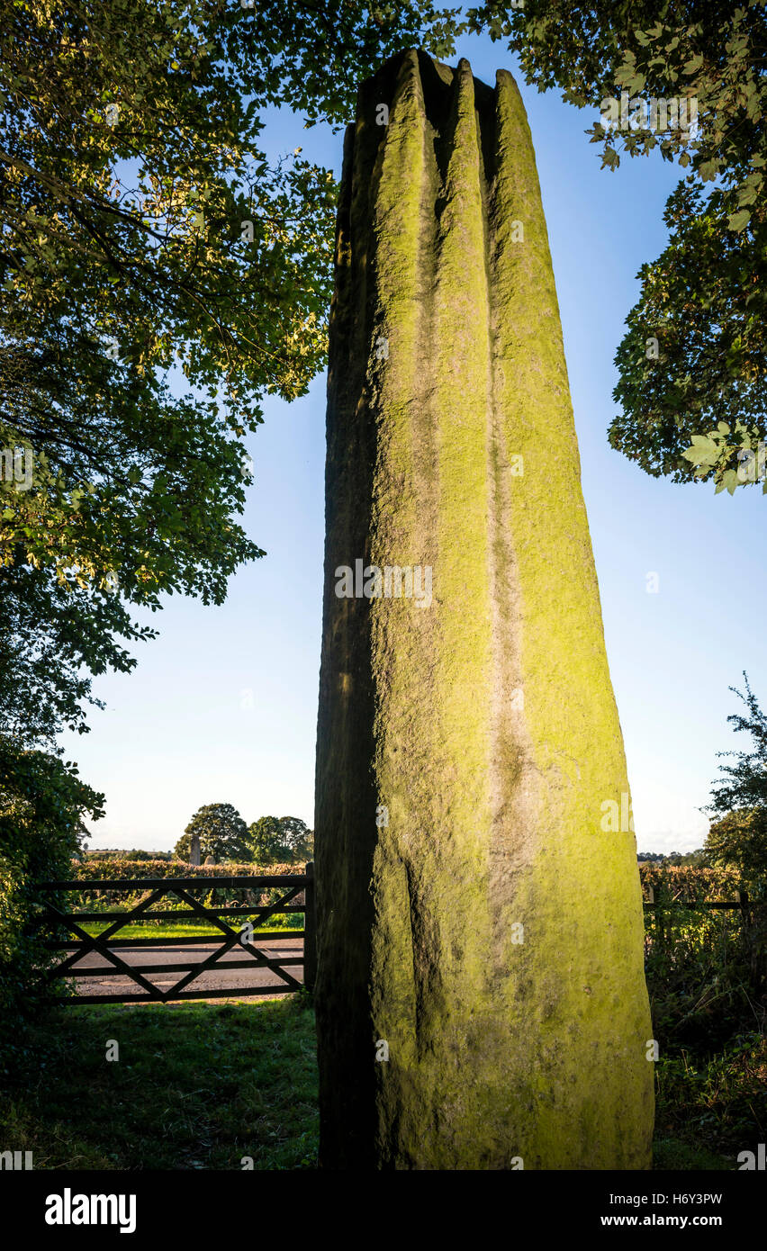 The Devil's Arrows Neolithic standing stones near Boroughbridge ...