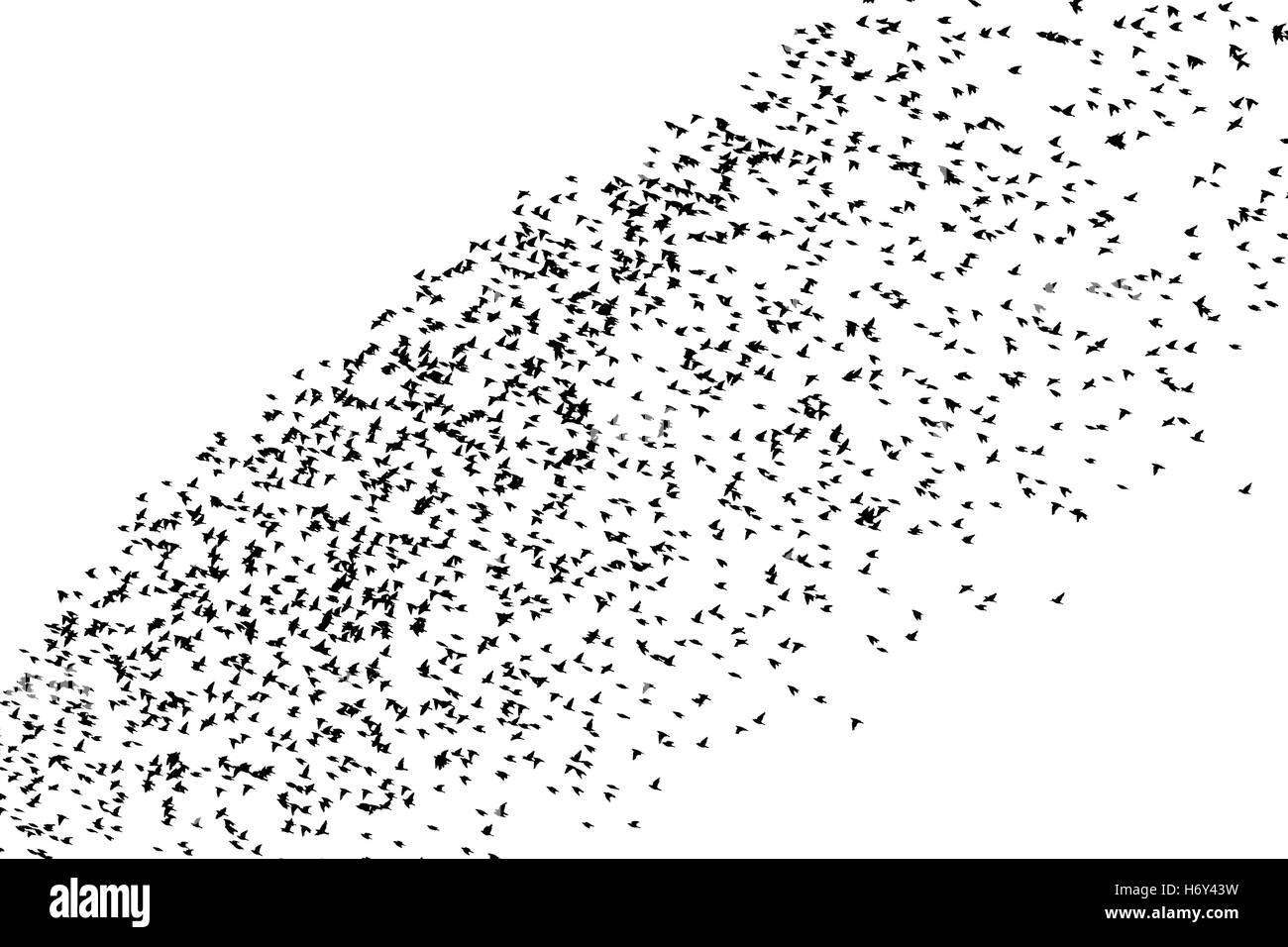 Sea wave over beach Black and White Stock Photos & Images - Alamy