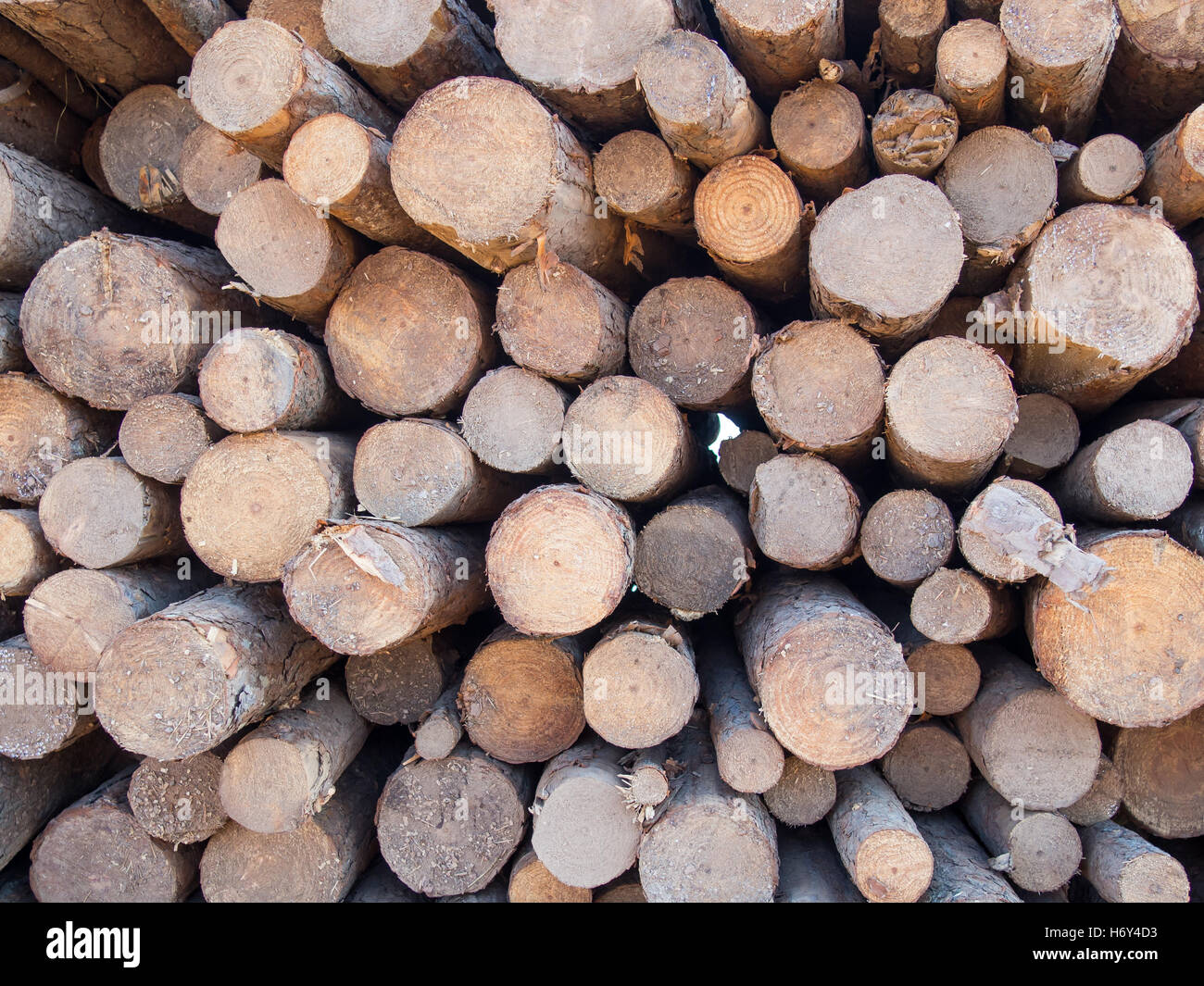 Different timber hi-res stock photography and images - Alamy
