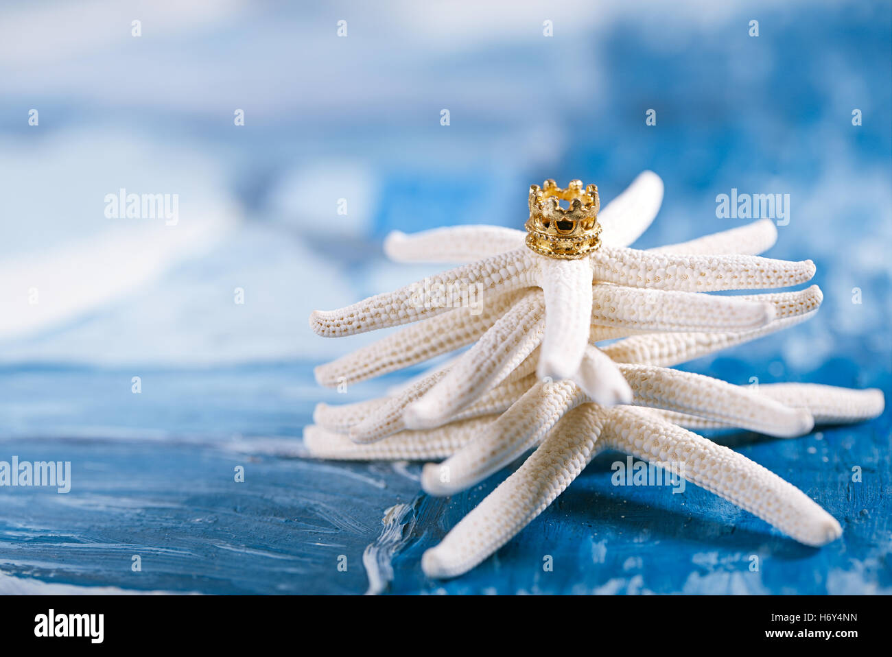 starfish christmas tree on beach with seascape background Stock Photo ...