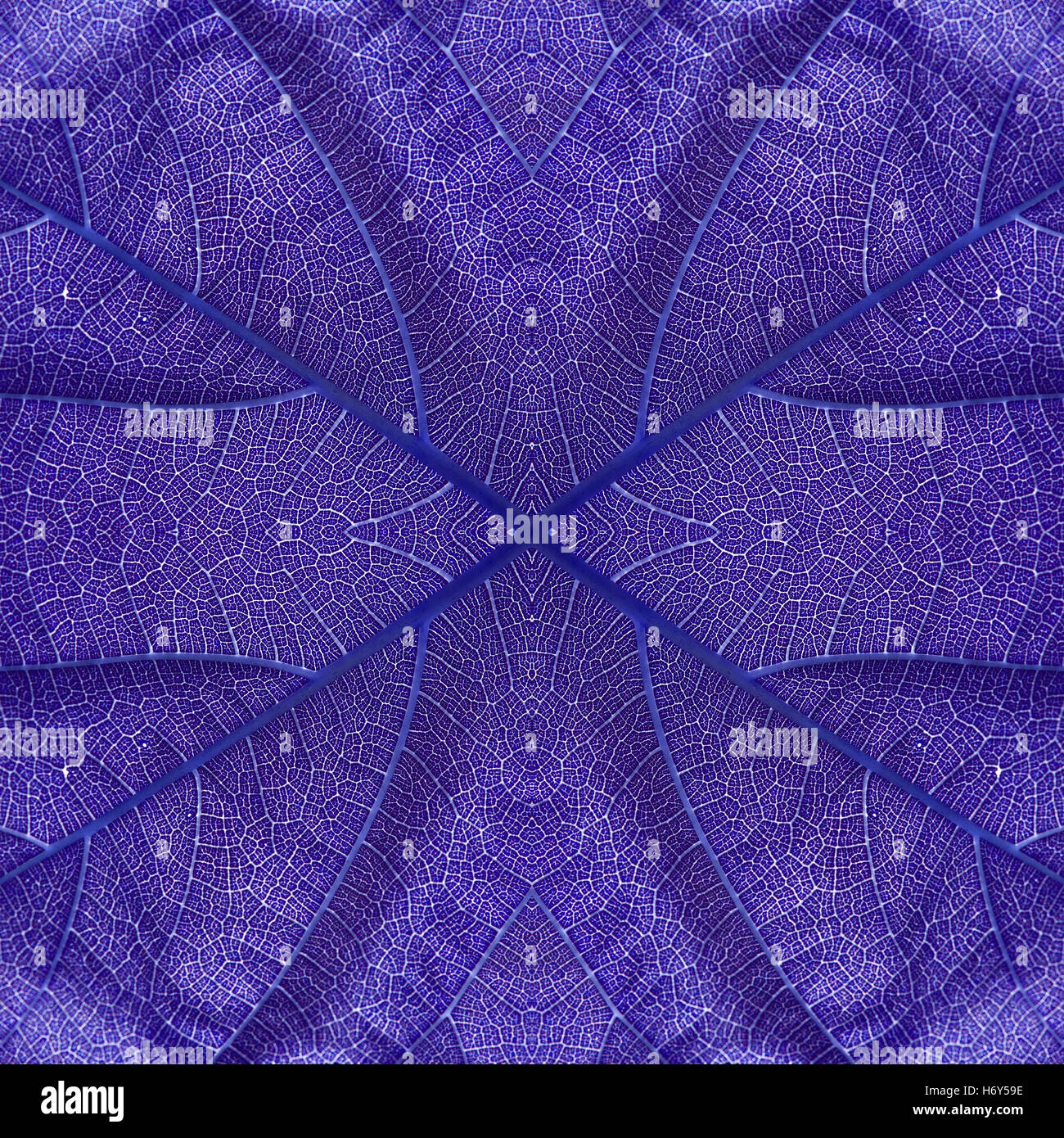 Seamless purple texture hi-res stock photography and images - Alamy