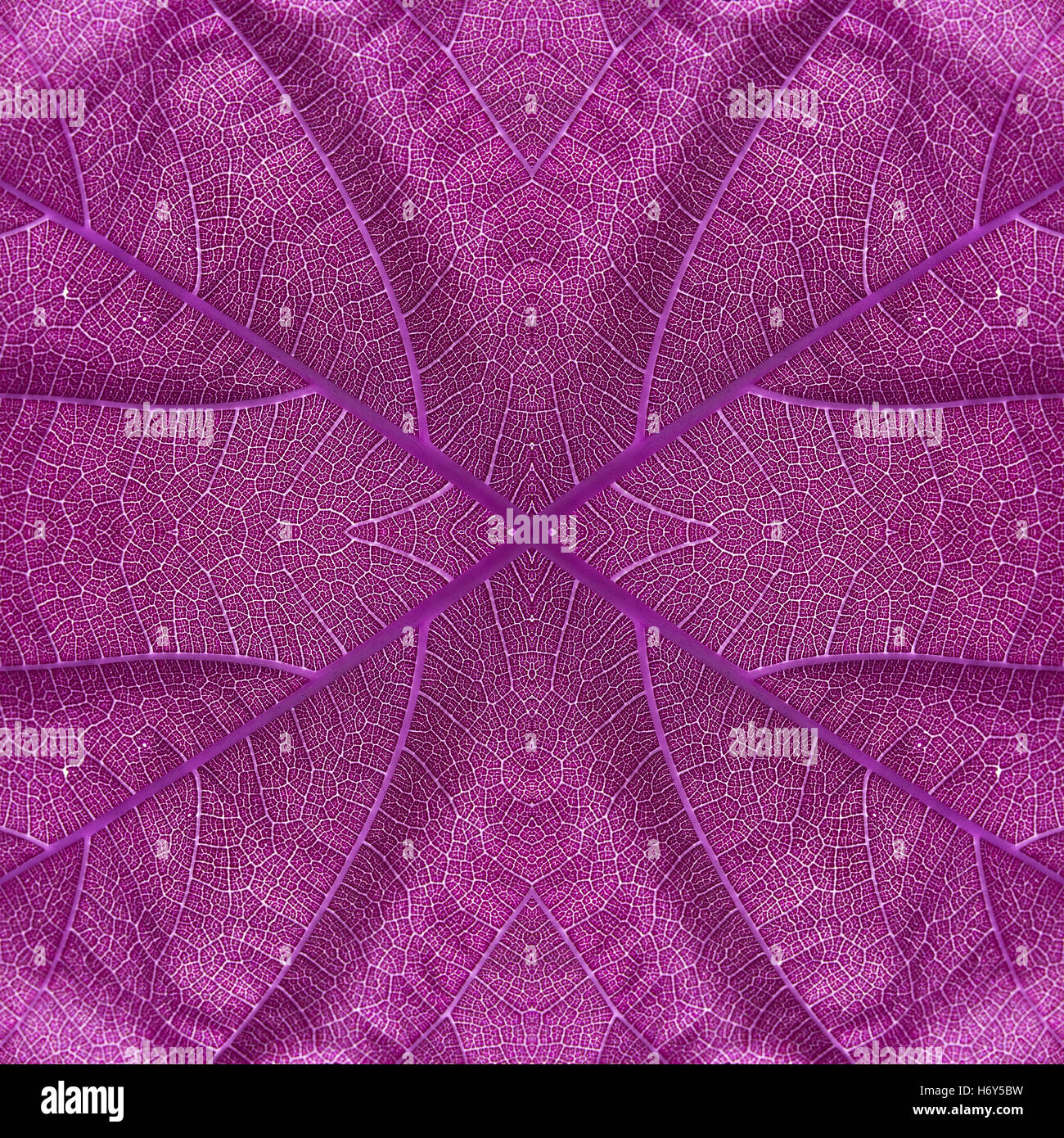 Seamless purple texture hi-res stock photography and images - Alamy
