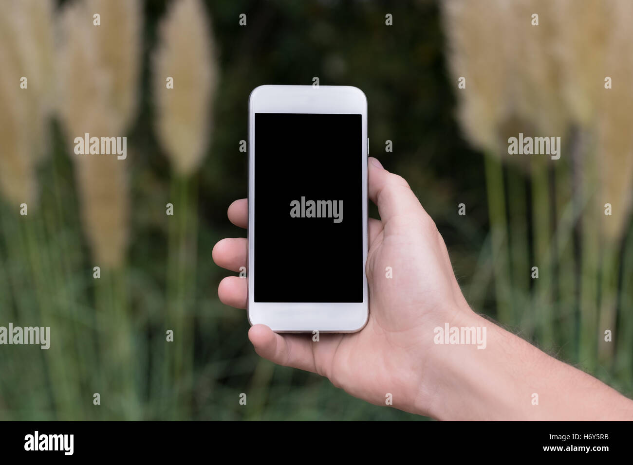 Holding Smartphone in nature Stock Photo - Alamy