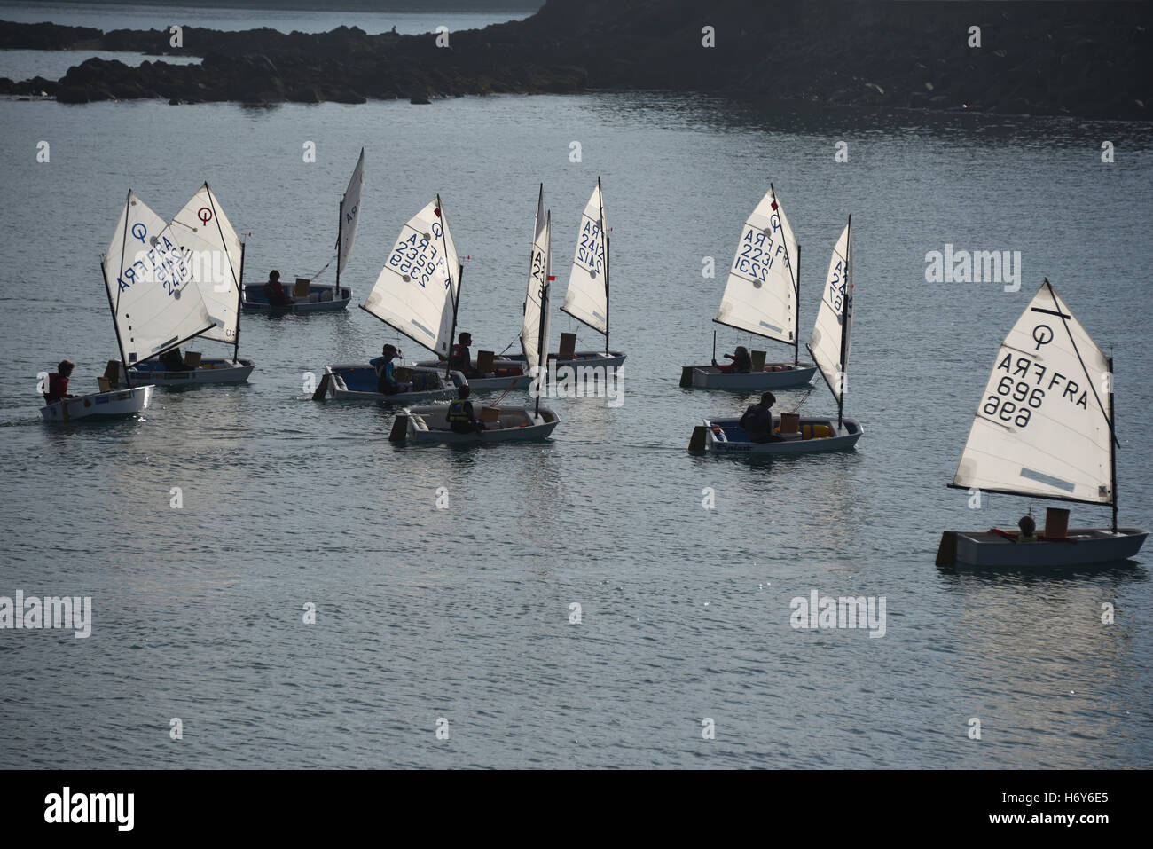 Optimist regatta at Saint-Quay-Portrieux, Cotes-d'Armor, Bretagne ...
