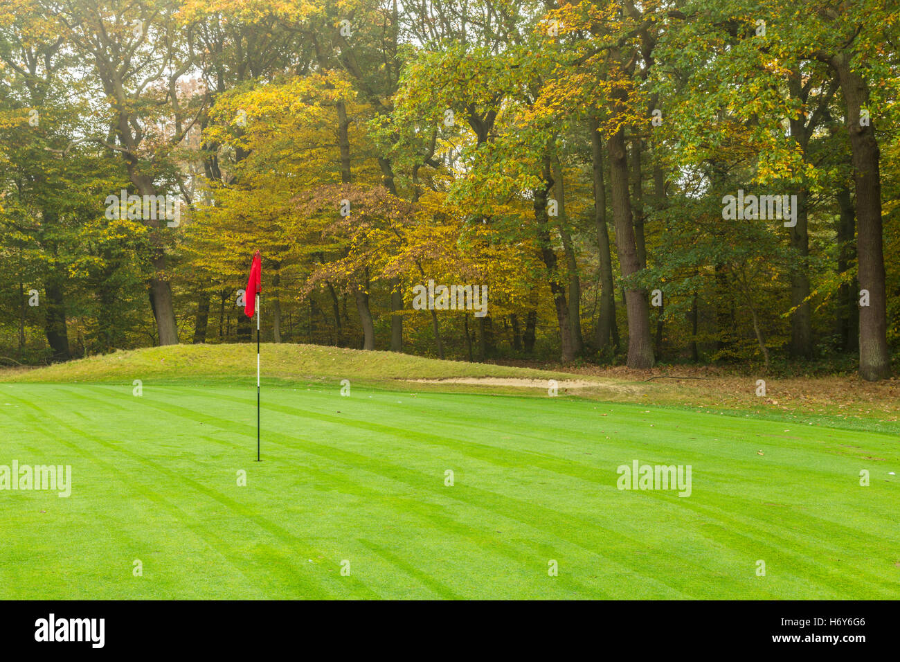 Belfairs hi-res stock photography and images - Alamy