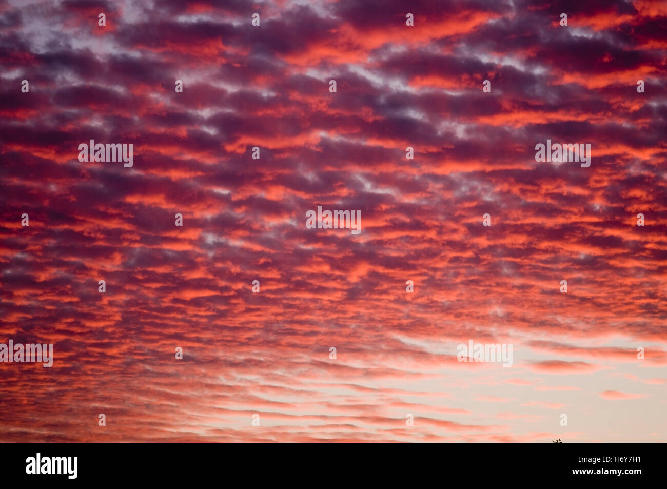 Full-format view of the sky with little wavy arranged clouds ...