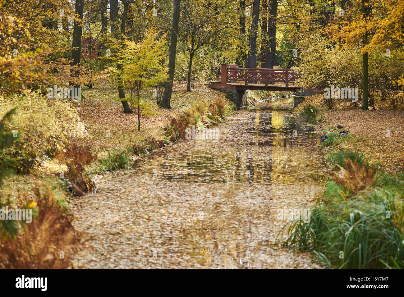 Bridge over a hi-res stock photography and images - Alamy