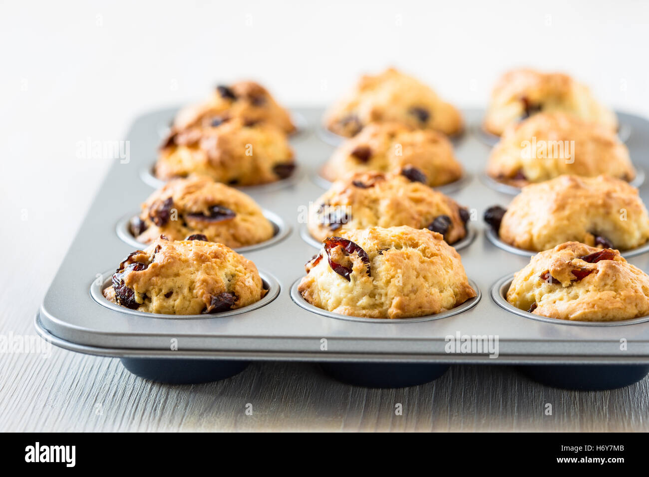 Freshly baked cranberry muffins in a muffin tin Stock Photo - Alamy