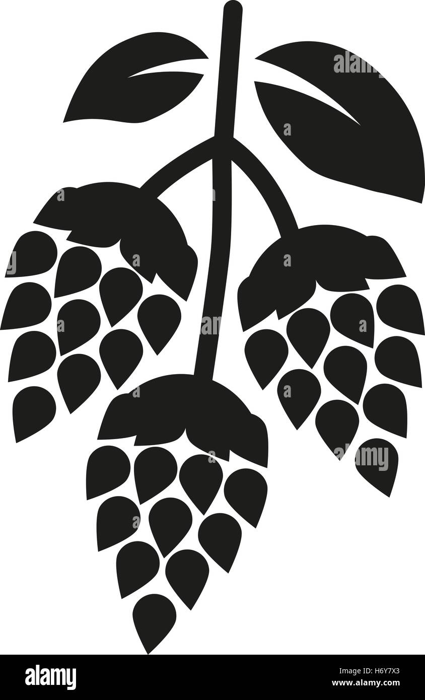 Hops logo hi-res stock photography and images - Alamy