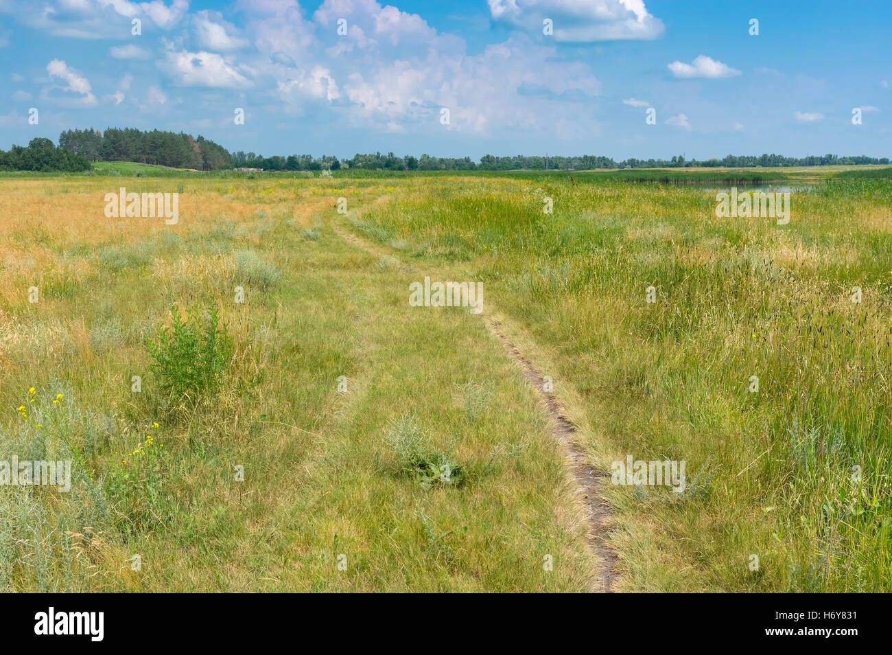 Ukrainian rural landscape with path leading to pond in summer meadow ...