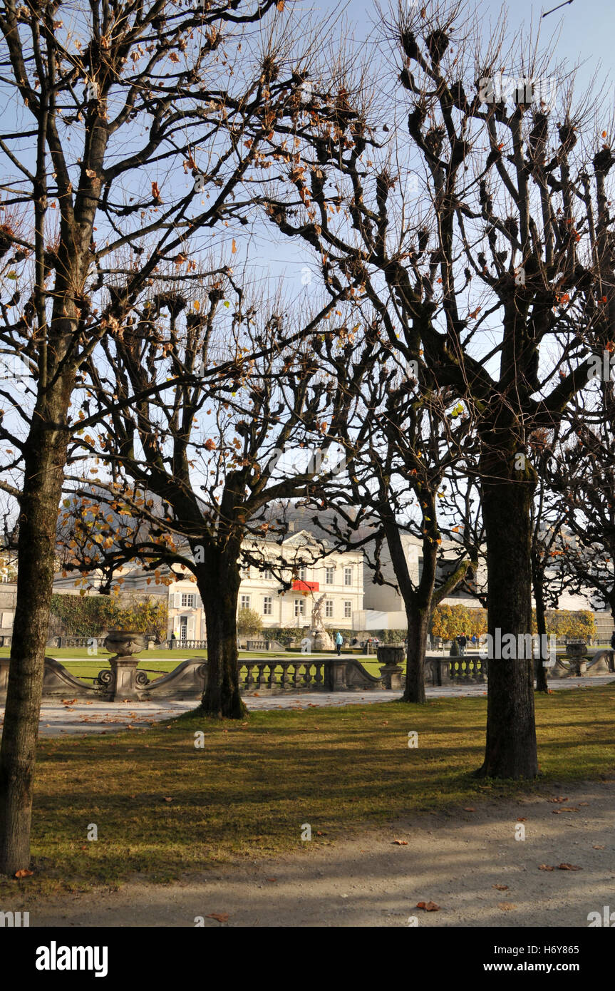 Big trees mansion hi-res stock photography and images - Alamy