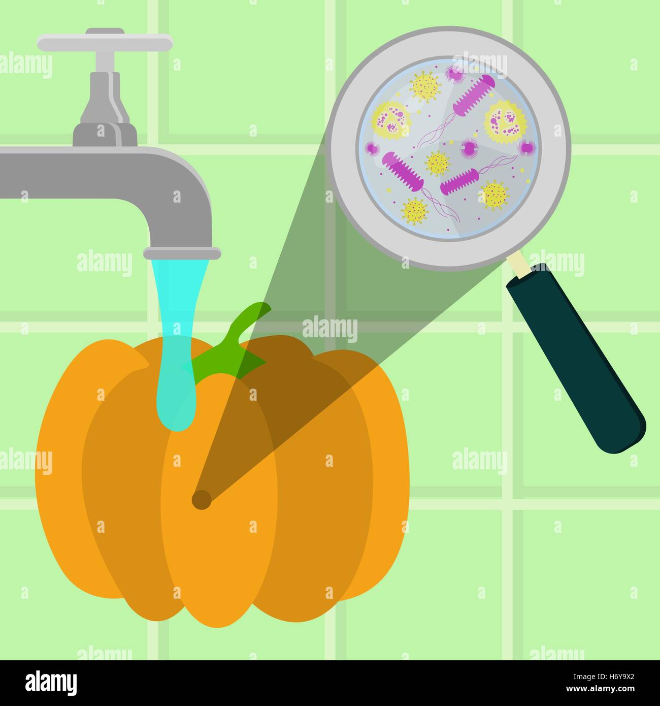 Contaminated pumpkin being cleaned and washed in a kitchen ...