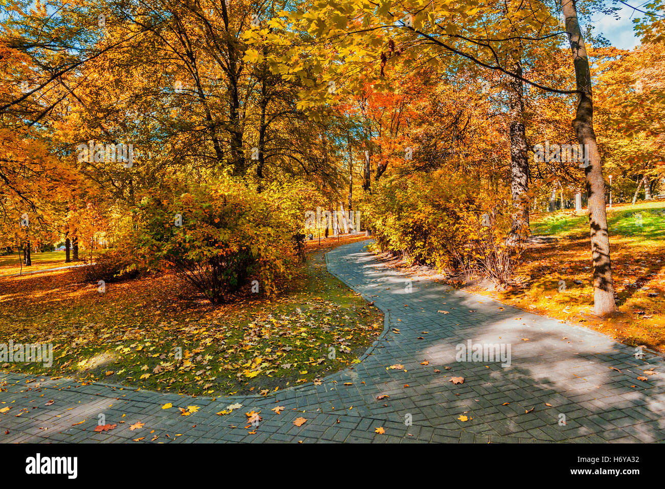 Autumn in park Stock Photo - Alamy