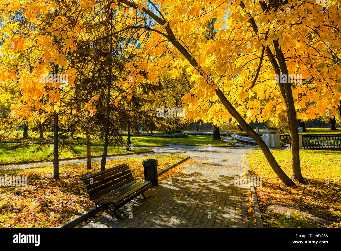 Autumn in park Stock Photo - Alamy