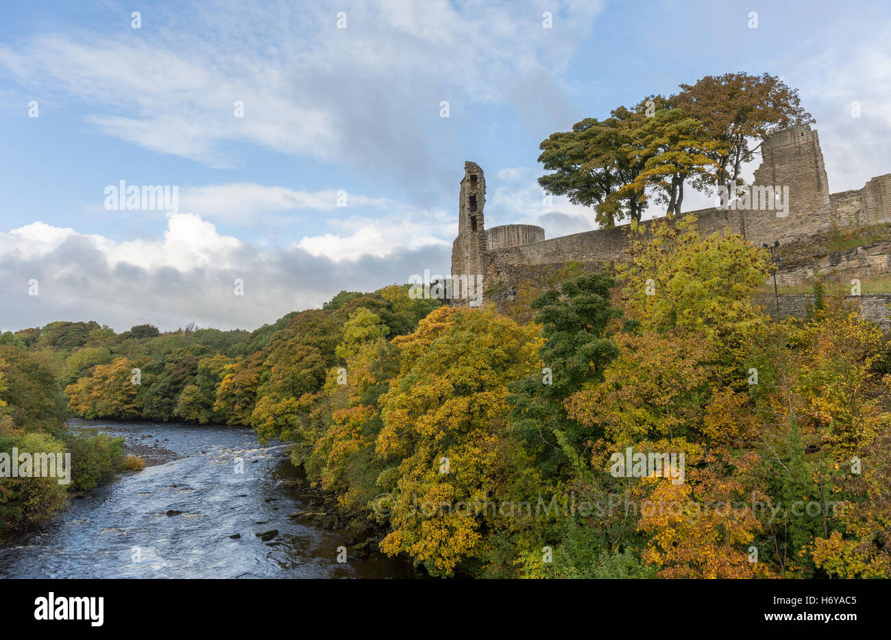 Barnard castle tree hi-res stock photography and images - Alamy