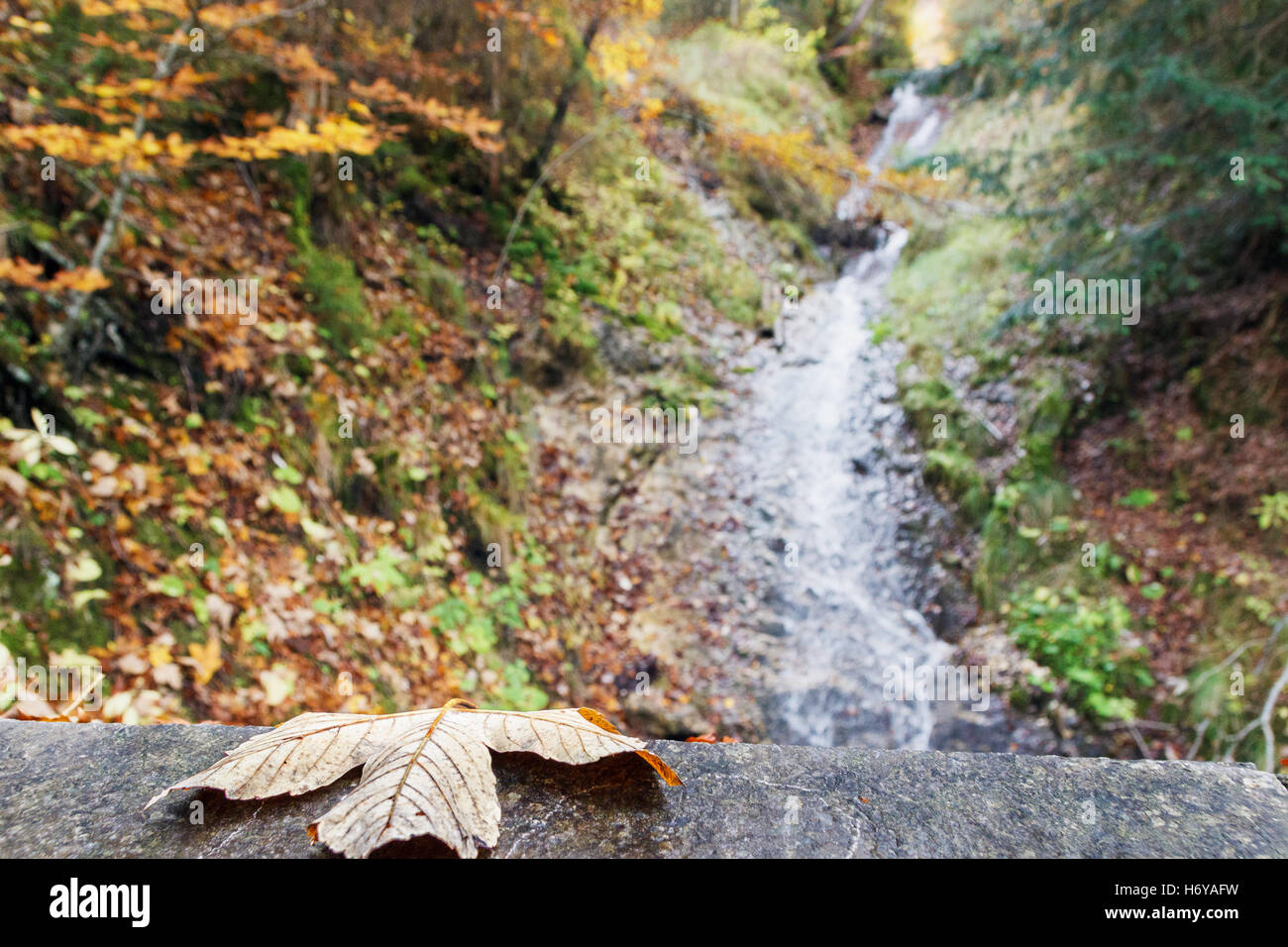 Ravine background hi-res stock photography and images - Alamy