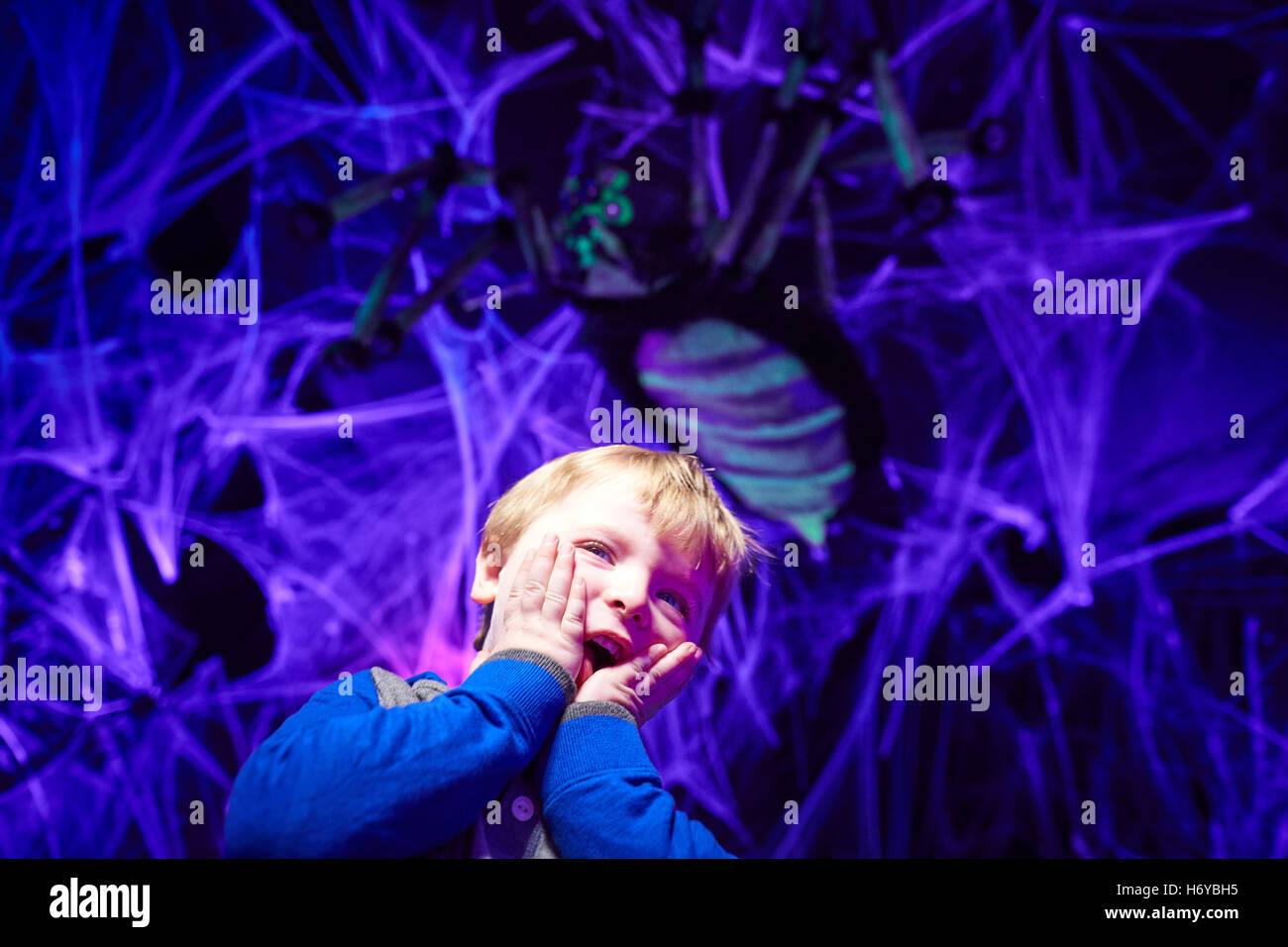 Child spider scared hi-res stock photography and images - Alamy