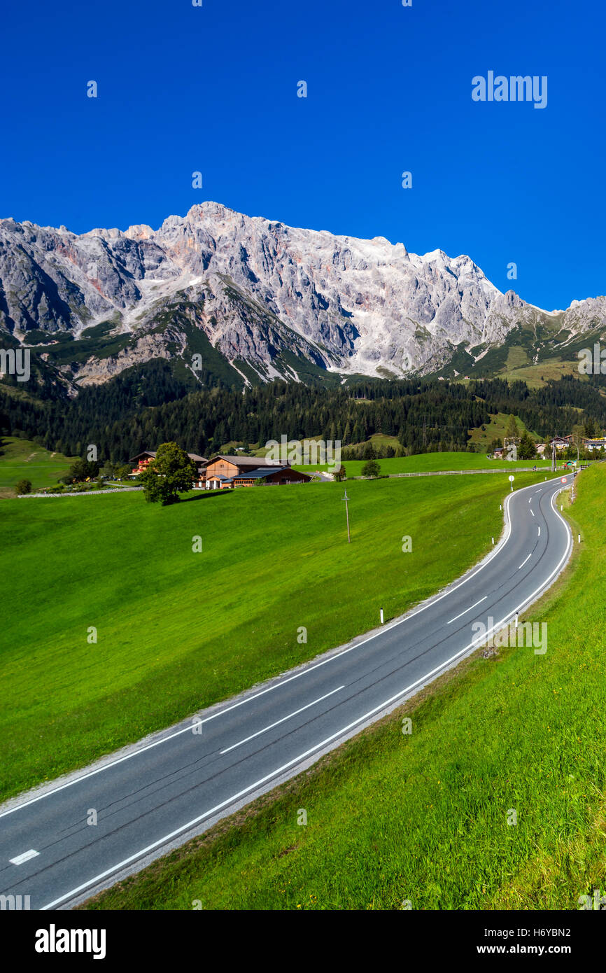 Alpine countryside road in green fields, Austria Stock Photo - Alamy
