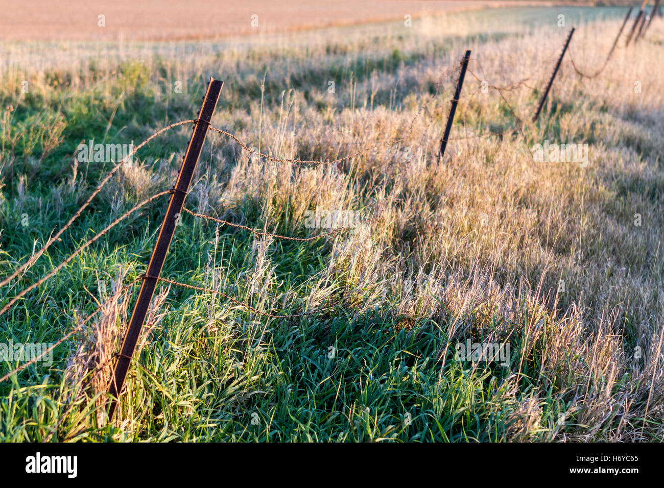 Rural country field hi-res stock photography and images - Alamy