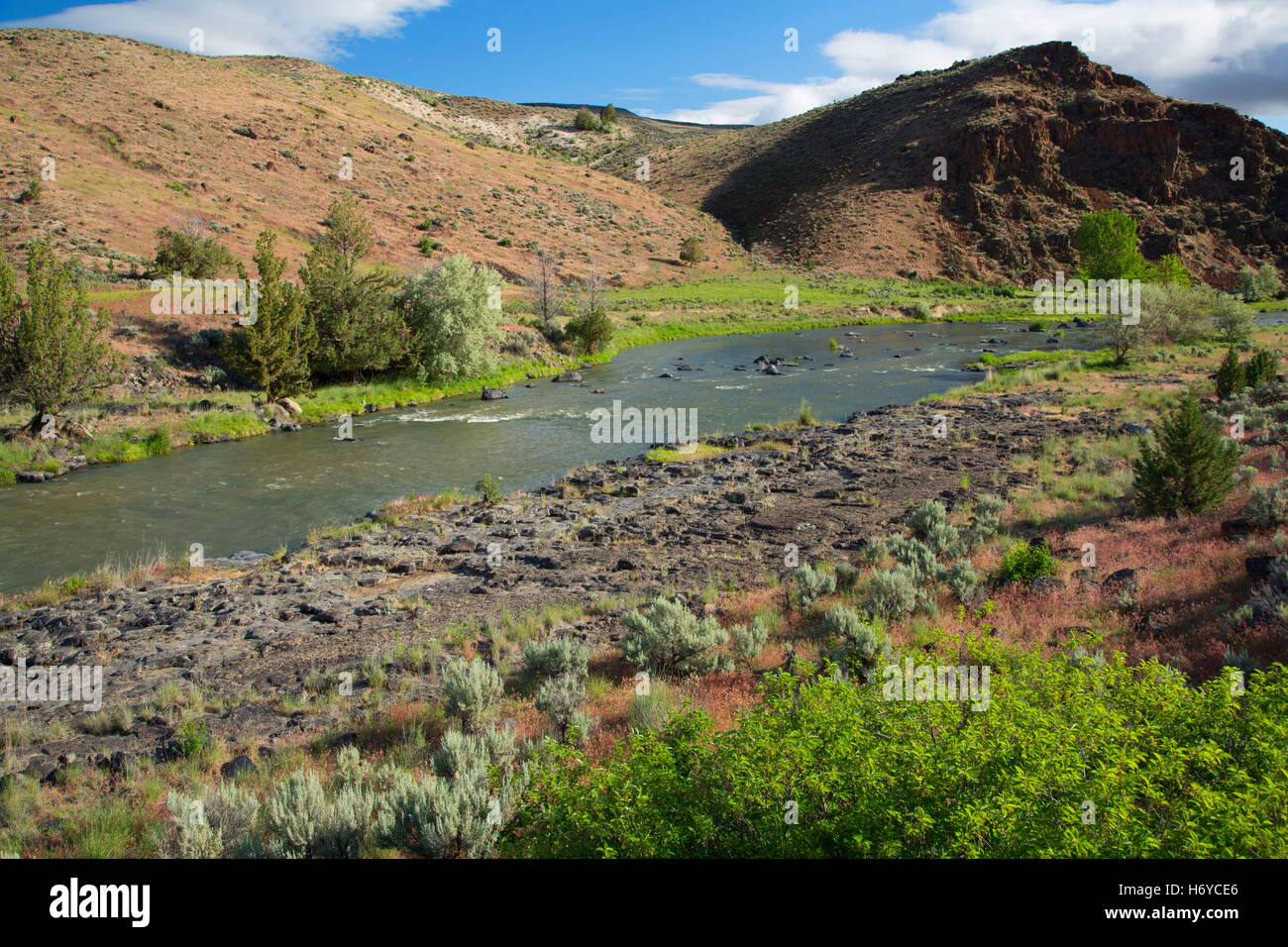 Malheur River, Riverside Wildlife Area, Oregon Stock Photo - Alamy