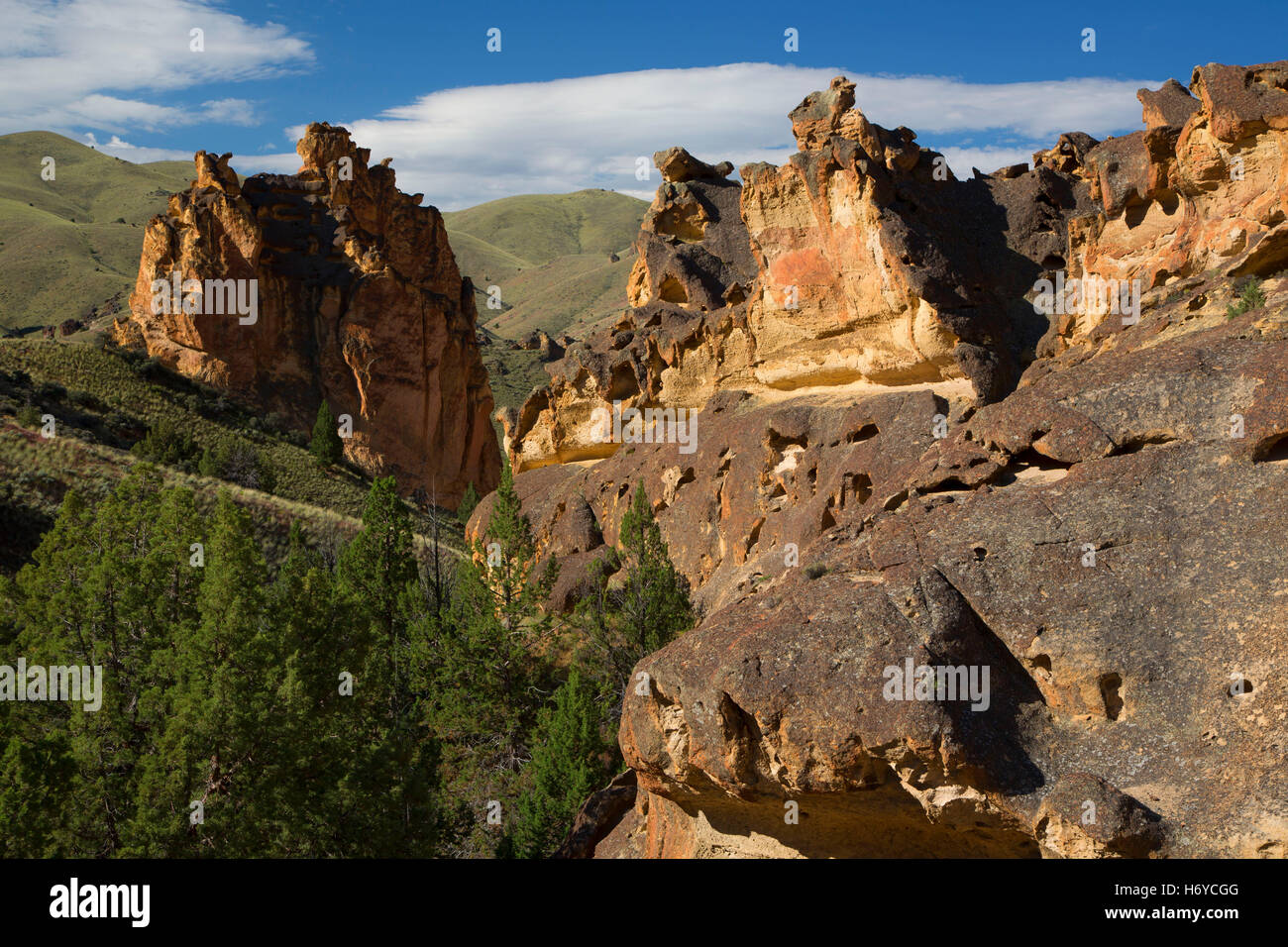 Juniper Gulch, Honeycombs Wilderness Study Area, Leslie Gulch Area of ...