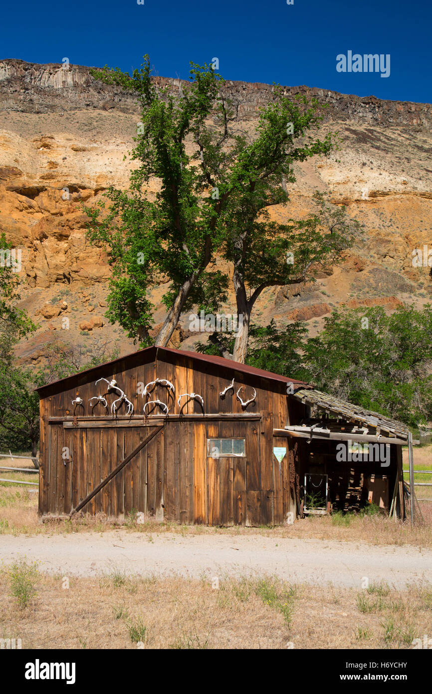 Morrison Ranch cabin at Birch Creek Ranch, Owyhee Wild and Scenic River ...