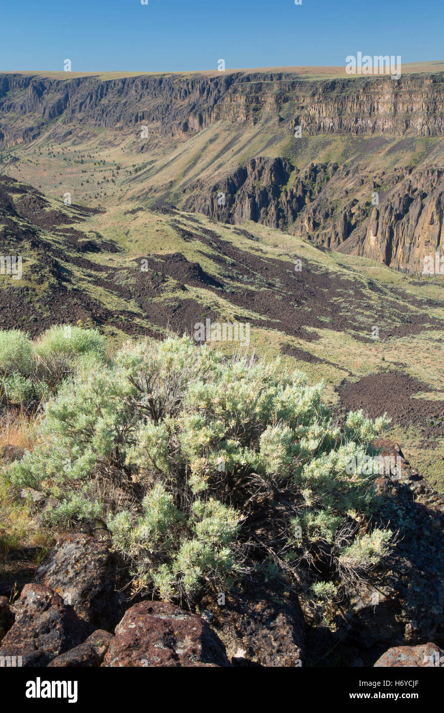 Owyhee Canyon Overlook, Owyhee Wild and Scenic River, Vale District ...