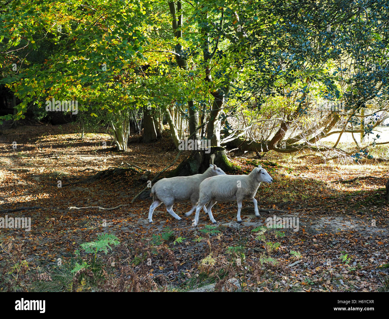 The wandering earth hi-res stock photography and images - Alamy