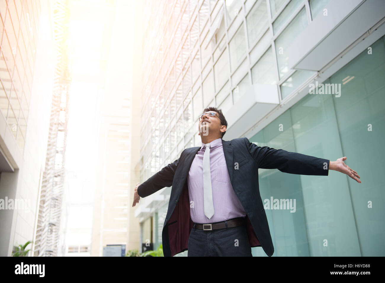 indian male business man celebrating success Stock Photo - Alamy