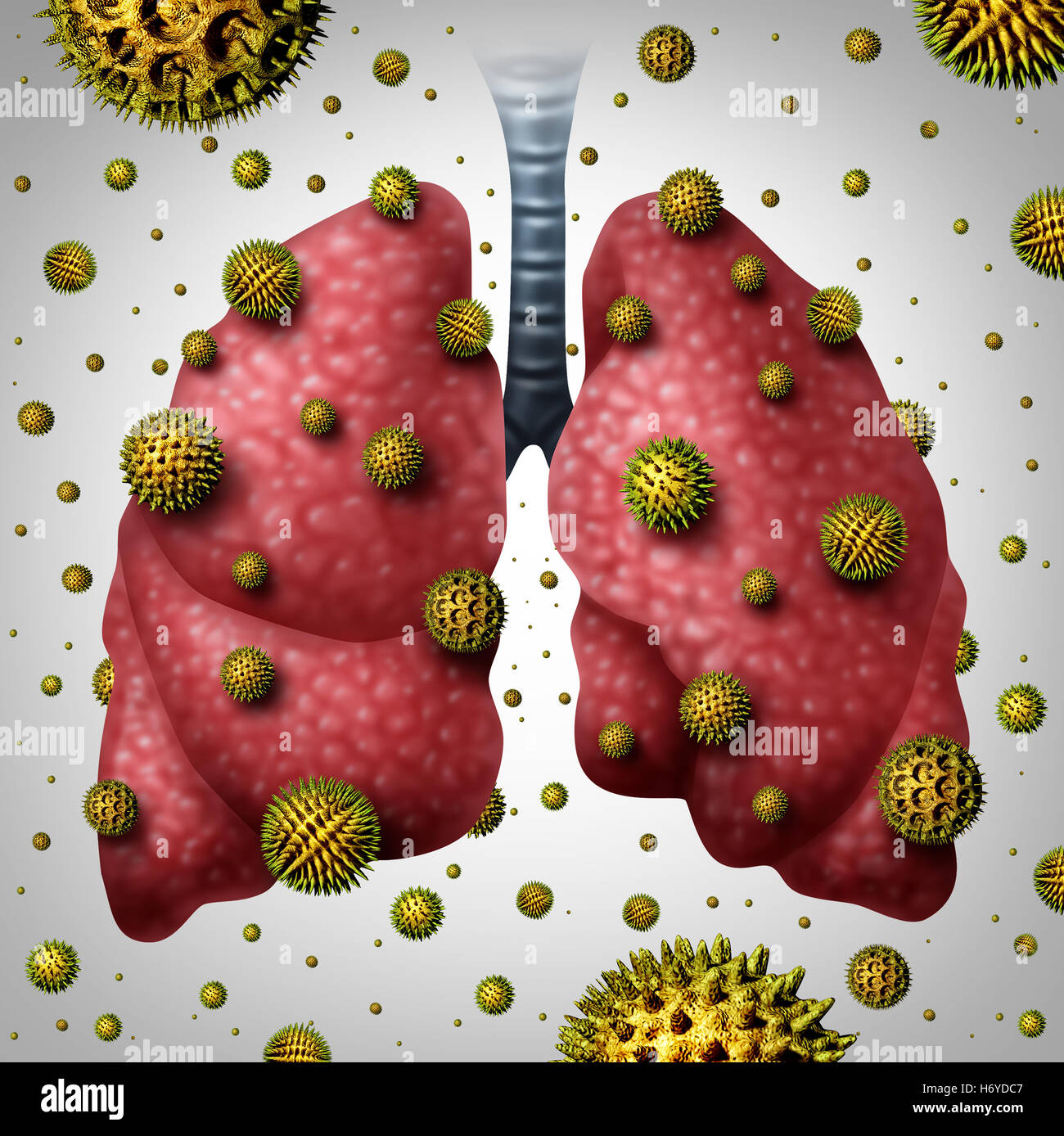 Lung Allergy Medical Concept As Human Lungs With Airborne Pollen Grains