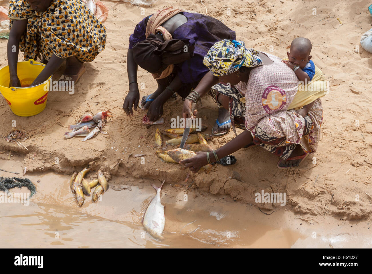Women gutting fish hi-res stock photography and images - Alamy