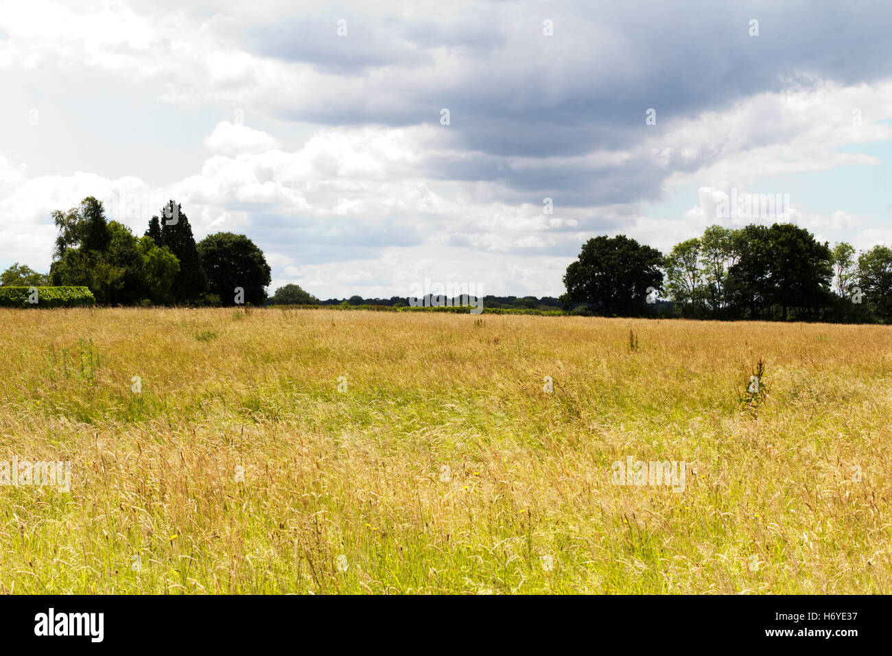 English rural countryside around the Chilterns in England Stock Photo ...