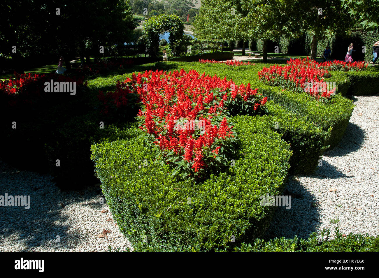 enchanted maze garden. arthurs seat. mornington peninsula. victoria ...